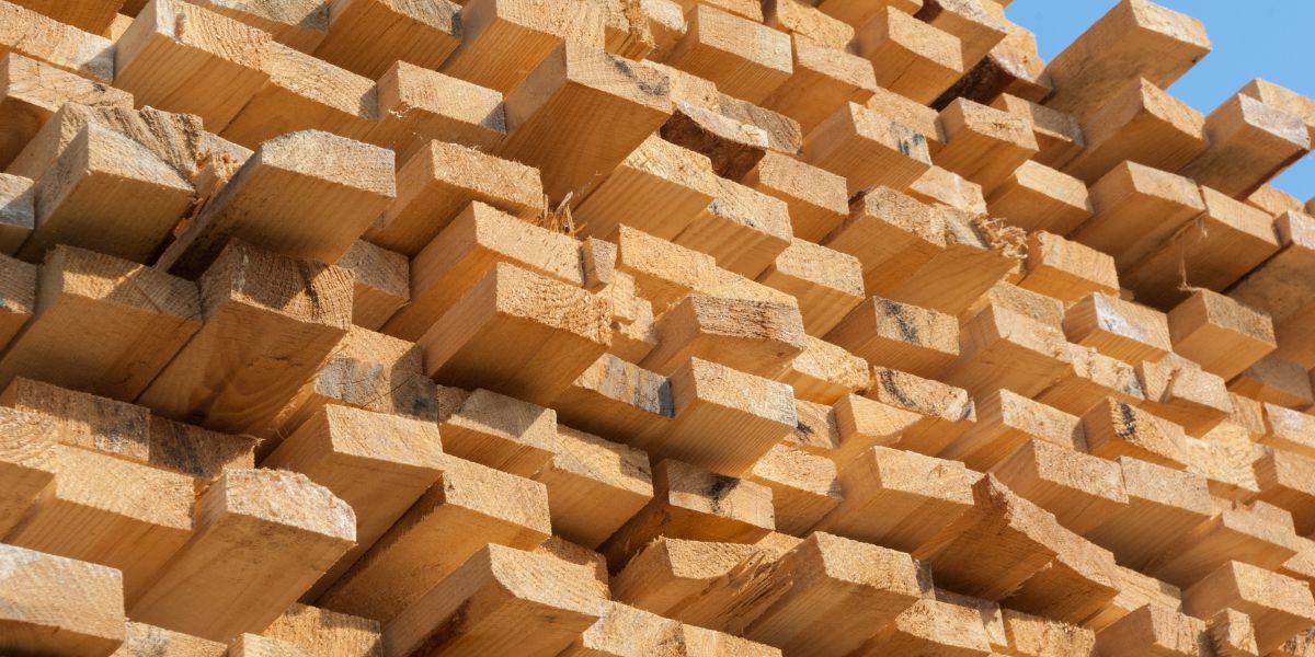 Comment faire sécher du bois de construction ? - Le comité engagé dans la construction bois et ...